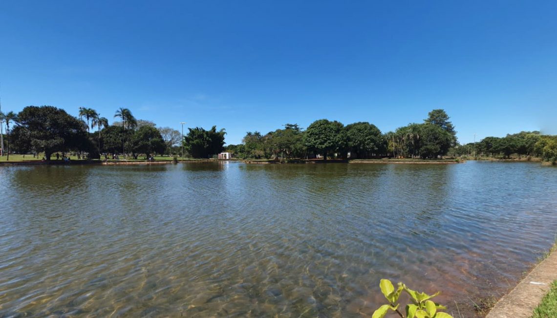 8 Atrações para as férias com crianças em Brasília 🚸 - Passaporte Feliz