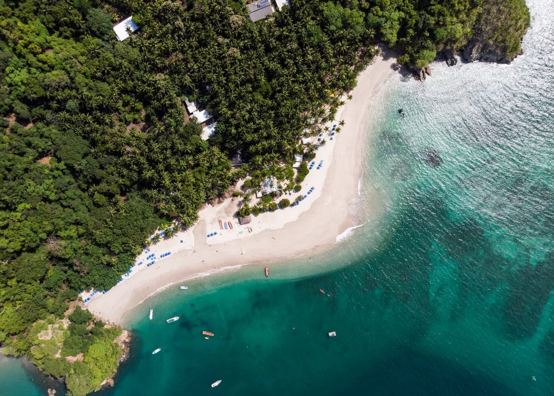 Conheça as 3 praias luminescentes de Porto Rico 🇵🇷 - Passaporte Feliz
